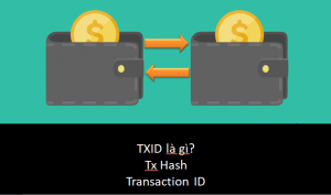 Transaction id (hay Tx Hash, TXID) là gì? Cách kiểm tra TXID các coin cơ bản