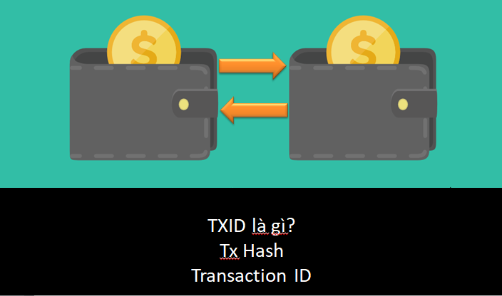 Transaction id (hay Tx Hash, TXID) là gì? Cách kiểm tra TXID các coin ...