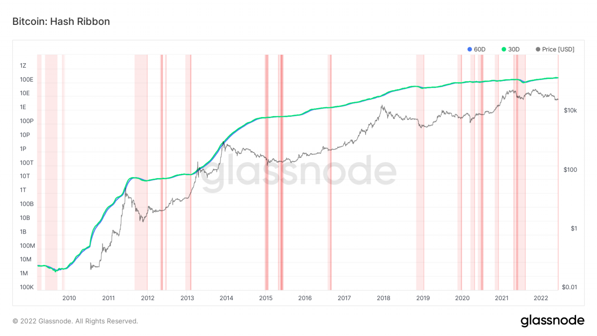 Phân tích dữ liệu on-chain tuần #24: Sự đầu cơ của thợ đào đã bắt đầu ...