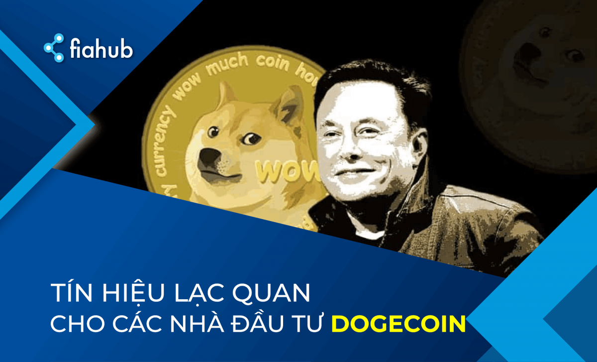 Tín hiệu lạc quan cho các nhà đầu tư DOGE - Fiahub