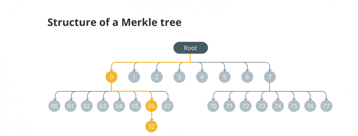 Merkle Trees và Verkle Trees là gì? - Fiahub