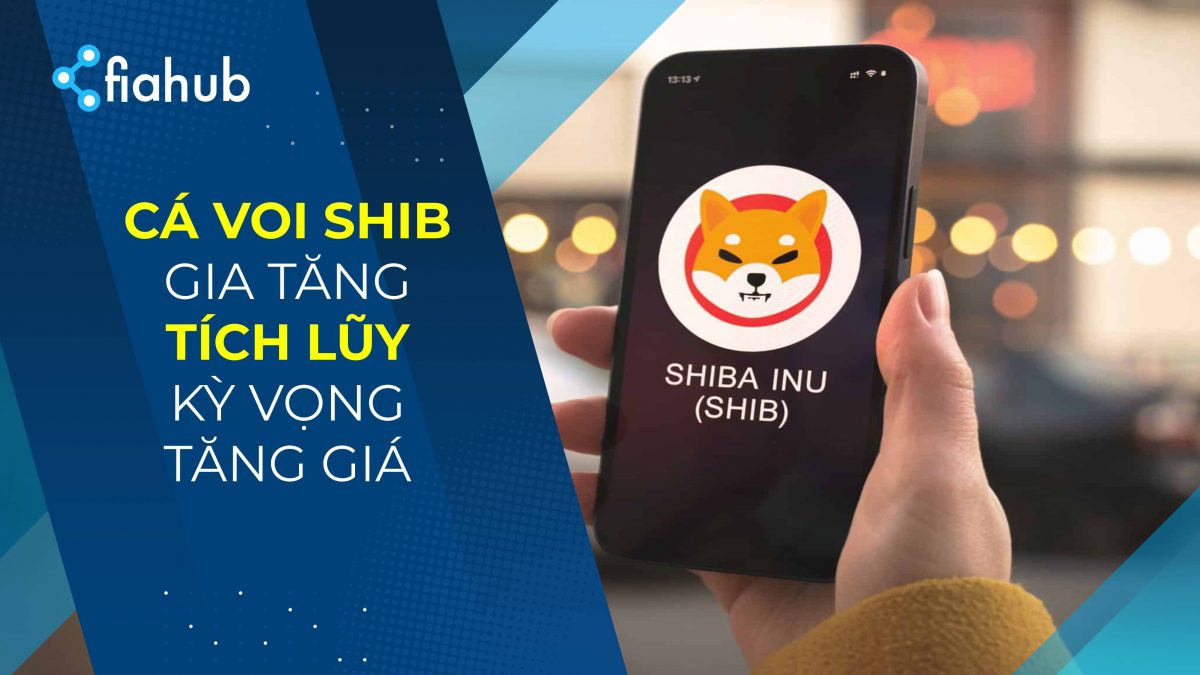 Cá voi âm thầm tích lũy hàng nghìn tỷ SHIB, giá chuẩn bị bứt phá? - Fiahub
